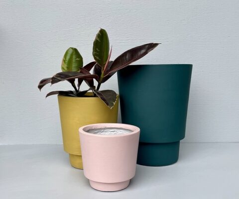 Flower Pots – High-Quality Pots to Showcase Your Flowers